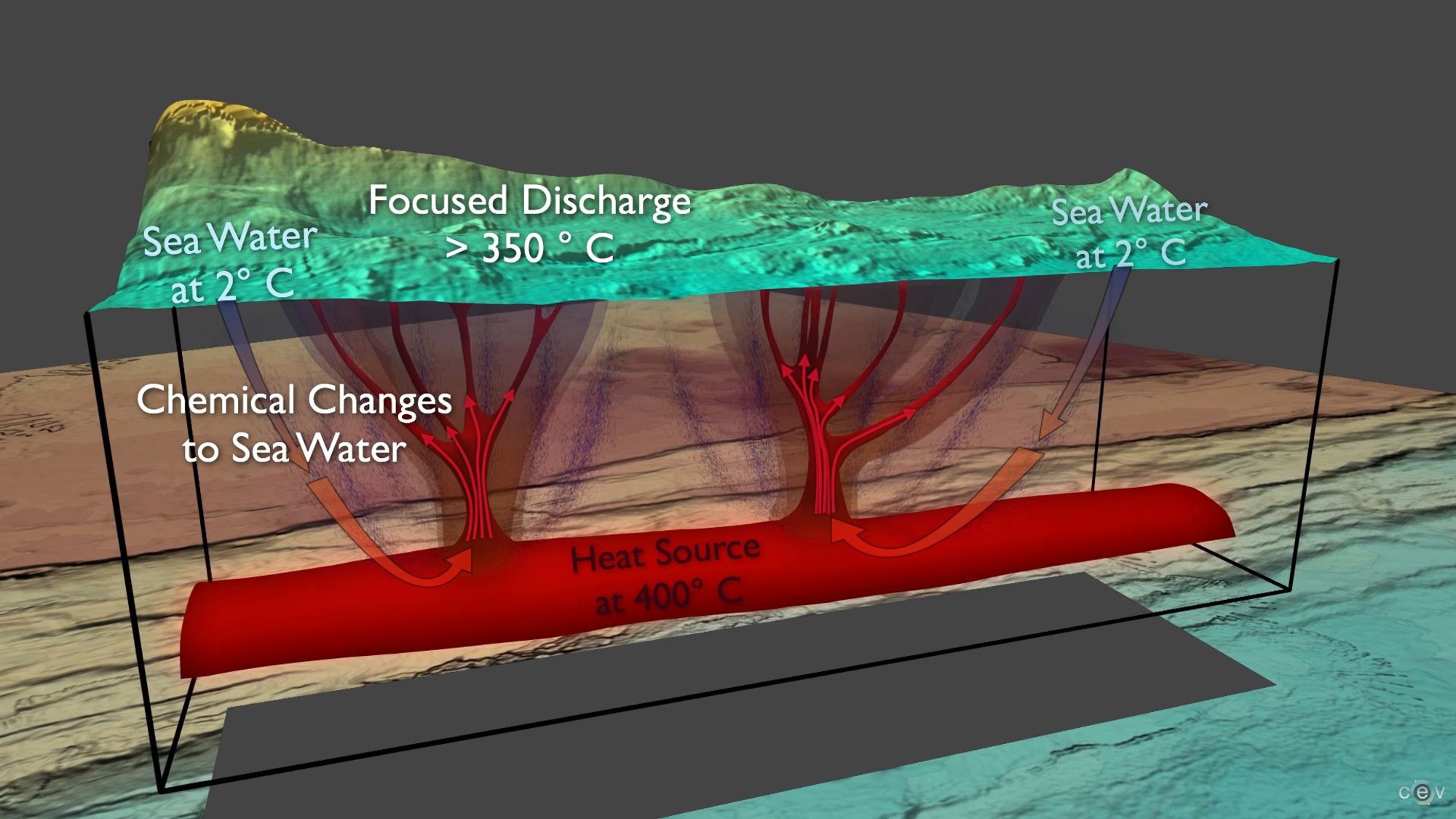 Hydrothermal Vent Diagram IUCN Hydrothermal Vents Support Species