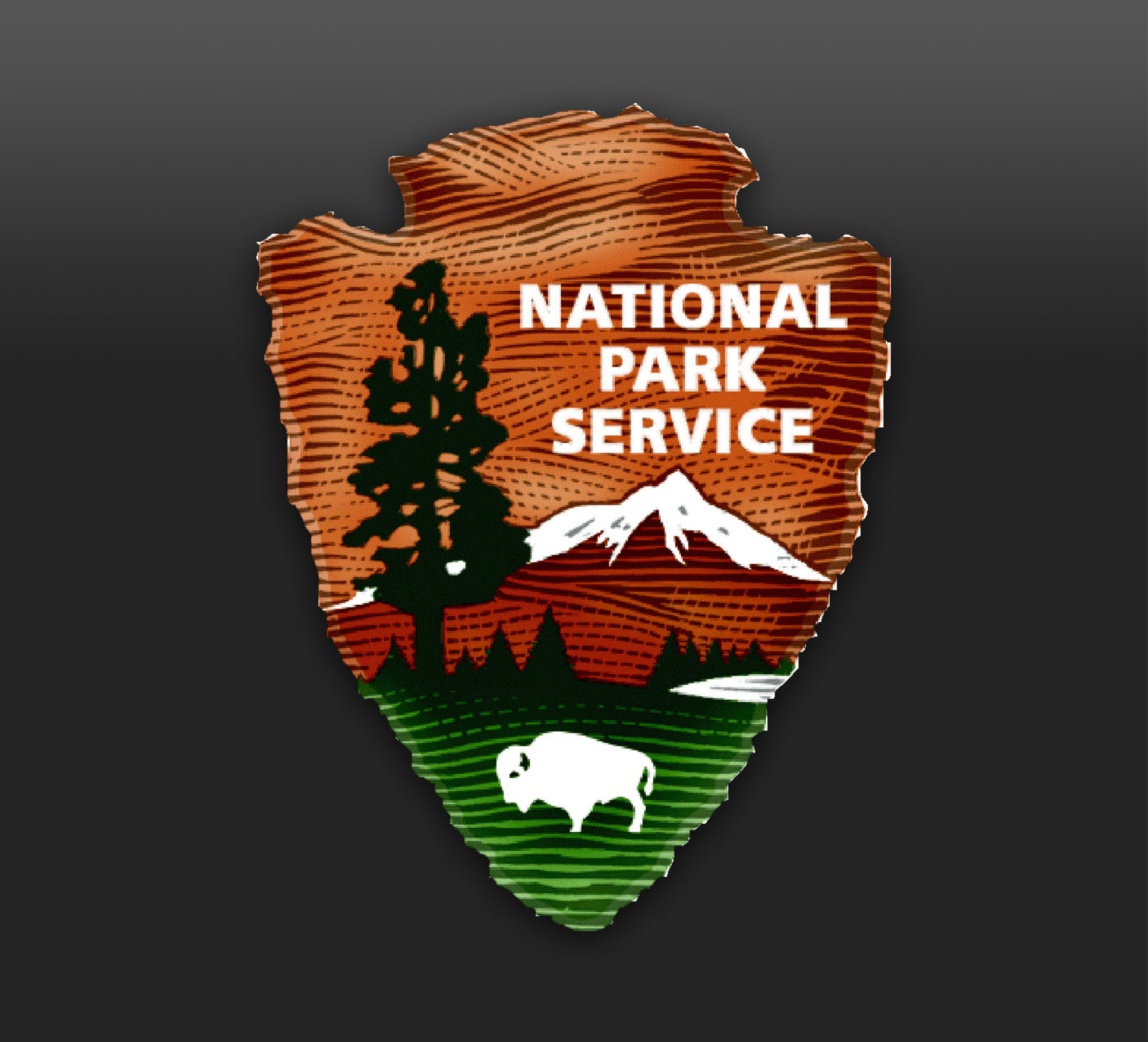 National Park Services Logo DOGE Layoffs Impact National Park Service