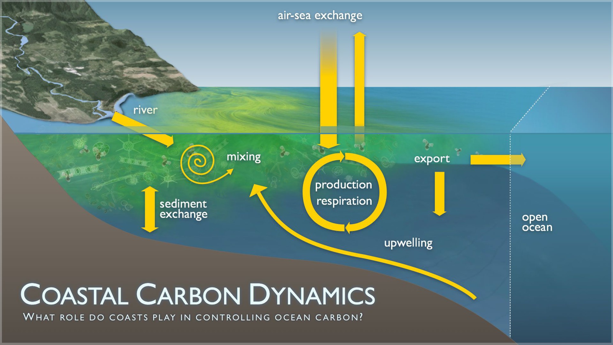 Carbon Cycle Ocean Acidification
